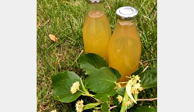 Rețeta pentru sirop de flori de tei: Răsfățul verii. Eu îl servesc cu ...